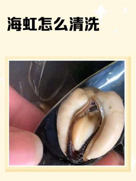 海虹怎么清洗_海虹怎么保存-第1张图片-山城妙识 海虹怎么清洗_海虹怎么保存-第1张图片-山城妙识