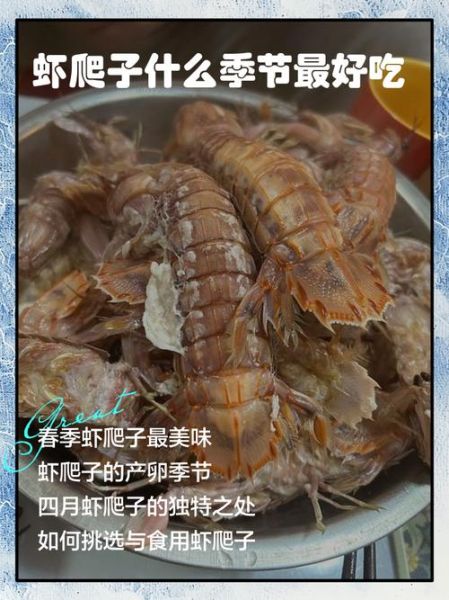 虾爬子蒸多久最佳_虾爬子蒸多长时间能熟-第3张图片-山城妙识