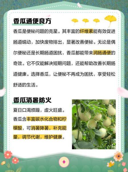 香瓜的功效与作用有哪些_香瓜的营养价值高吗-第1张图片-山城妙识