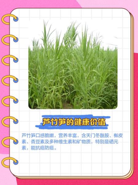 芦笋植萃骗局是真的吗_如何辨别真假-第1张图片-山城妙识