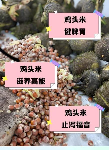 鸡头米适合什么人吃_鸡头米什么人不能吃-第1张图片-山城妙识