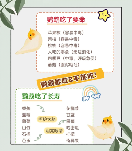 鹦鹉怎么养_鹦鹉吃什么-第3张图片-山城妙识