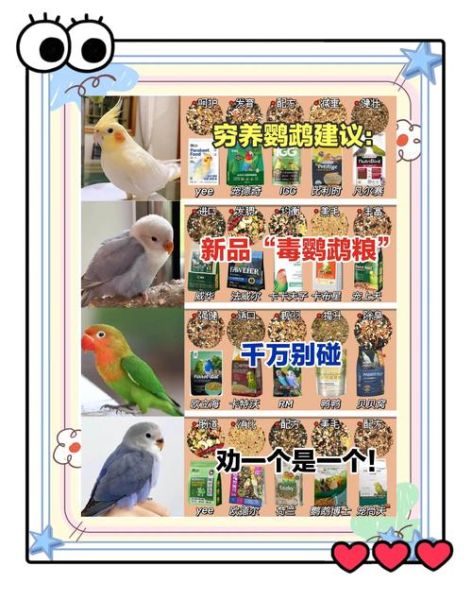 鹦鹉怎么养_鹦鹉吃什么-第1张图片-山城妙识