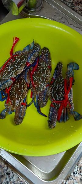 花蟹死了多久不能吃_如何判断花蟹是否变质-第3张图片-山城妙识 花蟹死了多久不能吃_如何判断花蟹是否变质-第3张图片-山城妙识