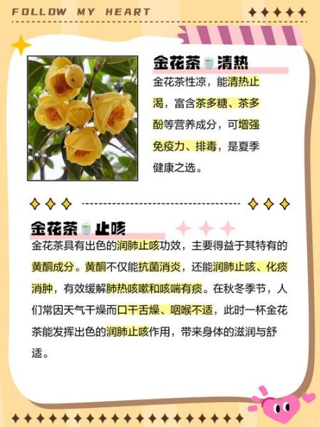 花茶有哪些种类_花茶的功效与作用大全-第3张图片-山城妙识