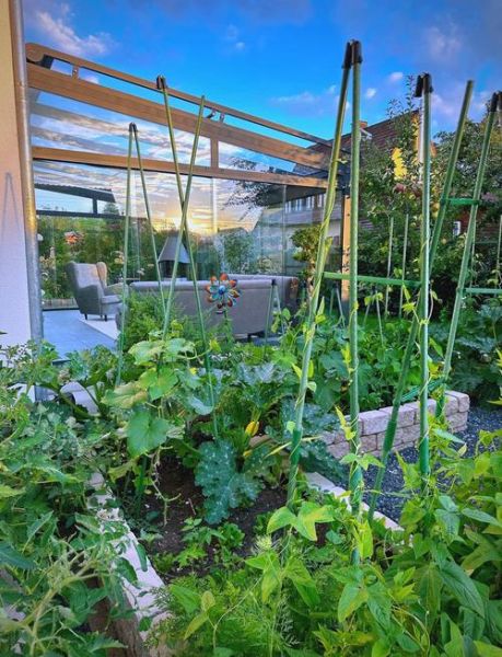 菜圃图片怎么拍好看_家庭菜园如何布局-第3张图片-山城妙识