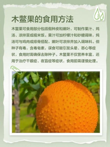木鳖果怎么吃_木鳖果的正确吃法-第2张图片-山城妙识