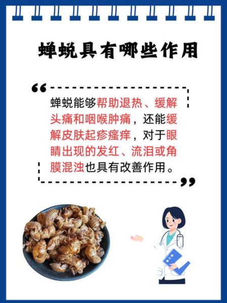 蝉蜕的功效与作用及禁忌_蝉蜕副作用有哪些-第1张图片-山城妙识 蝉蜕的功效与作用及禁忌_蝉蜕副作用有哪些-第1张图片-山城妙识