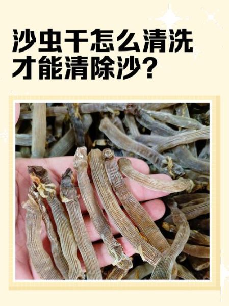 沙虫干怎么清洗_沙虫干清洗方法图解-第1张图片-山城妙识
