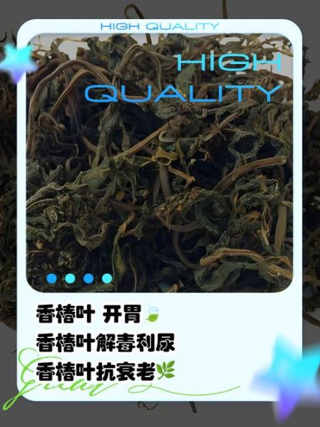 香椿叶长大了还能吃吗_香椿老叶怎么处理-第1张图片-山城妙识