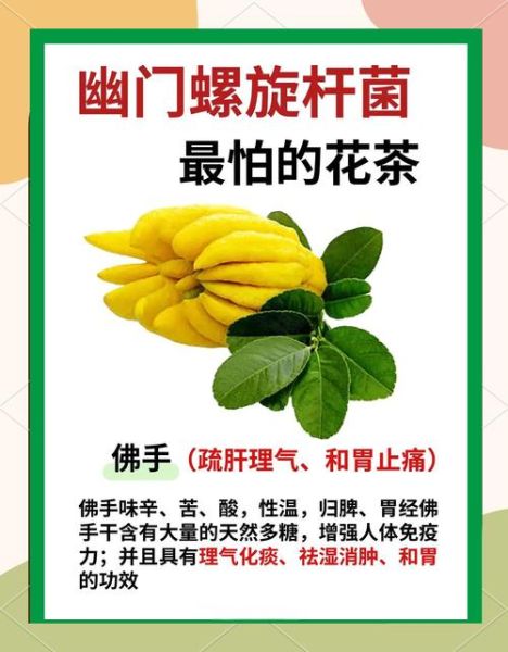 幽门螺杆菌最怕的两种茶是什么_如何喝才有效-第1张图片-山城妙识