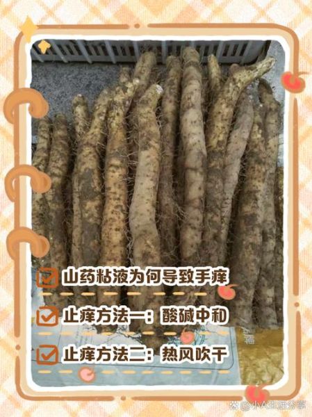 山药皮痒怎么办_快速止痒方法-第2张图片-山城妙识