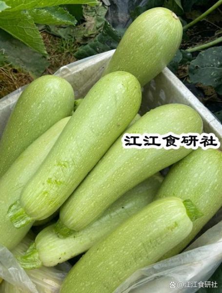 润肺止咳吃什么蔬菜_十大润肺止咳蔬菜推荐-第3张图片-山城妙识