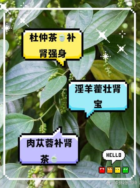 壮阳茶真的有用吗_壮阳茶多久见效-第1张图片-山城妙识
