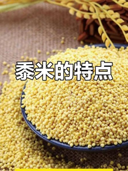 黍米的功效与作用_黍米适合什么人吃-第3张图片-山城妙识 黍米的功效与作用_黍米适合什么人吃-第3张图片-山城妙识