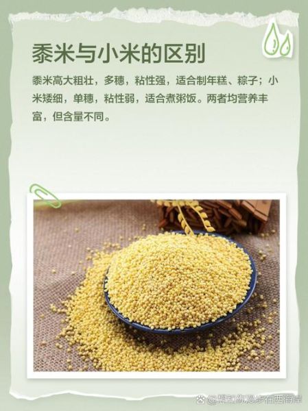 黍米的功效与作用_黍米适合什么人吃-第2张图片-山城妙识 黍米的功效与作用_黍米适合什么人吃-第2张图片-山城妙识