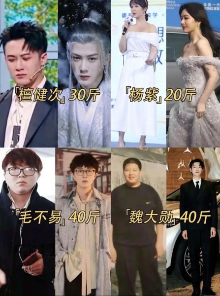 明星月瘦三十斤真的吗_明星减肥法靠谱吗-第2张图片-山城妙识