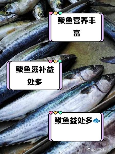 鲅鱼的功效与禁忌人群_什么人不能吃鲅鱼-第2张图片-山城妙识