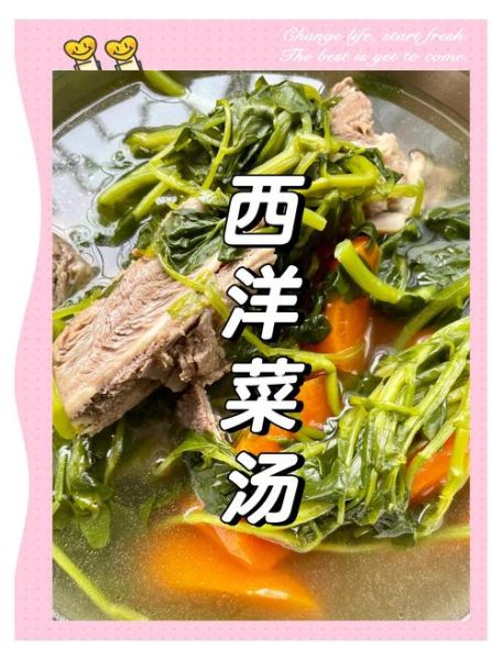 西洋菜煲猪骨的做法_西洋菜煲猪骨的功效-第1张图片-山城妙识
