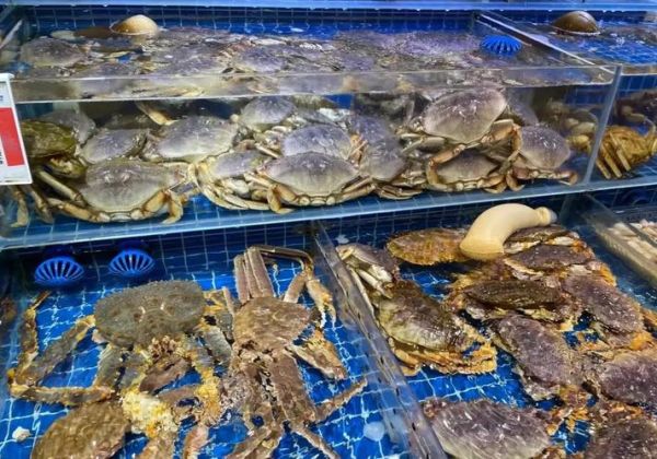 开卖海鲜亏了10几万怎么办_海鲜生意失败原因-第2张图片-山城妙识