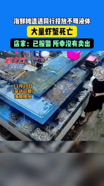 开卖海鲜亏了10几万怎么办_海鲜生意失败原因-第1张图片-山城妙识