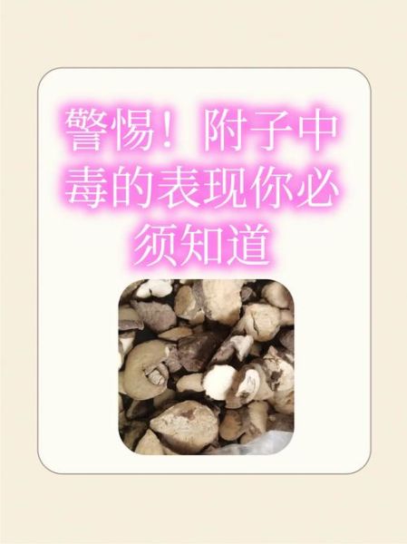 附子慢性中毒终生无解_附子中毒后遗症能治好吗-第1张图片-山城妙识