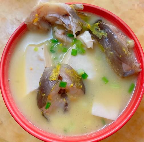 黄蜂鱼豆腐汤怎么做_黄蜂鱼豆腐汤的做法窍门-第1张图片-山城妙识