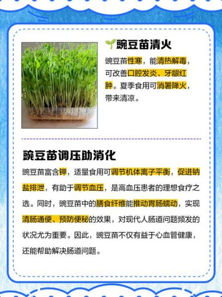 豌豆苗怎么种_豌豆苗的营养价值-第1张图片-山城妙识 豌豆苗怎么种_豌豆苗的营养价值-第1张图片-山城妙识