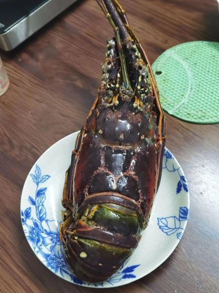 3斤大龙虾多少钱一斤_大龙虾价格怎么算-第2张图片-山城妙识