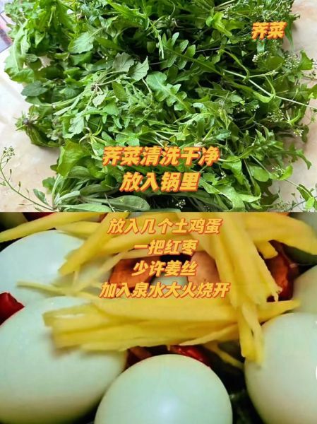 菱角菜的功效与作用_菱角菜怎么吃最营养-第3张图片-山城妙识