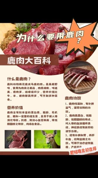 鹿肉价格多少钱一斤_鹿肉为什么贵-第1张图片-山城妙识