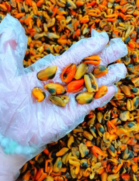 淡菜图片长什么样_淡菜和青口区别-第3张图片-山城妙识