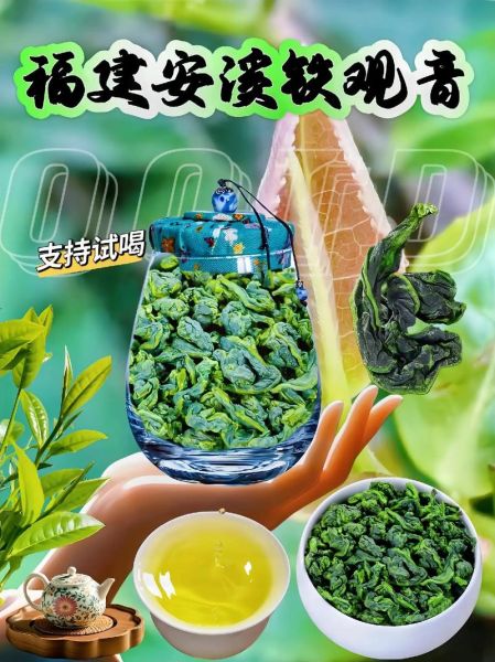 铁观音茶叶的功效与作用_铁观音适合什么人喝-第3张图片-山城妙识