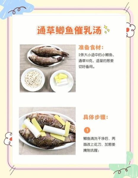 鲫鱼和什么炖汤最下奶_鲫鱼下奶汤怎么做-第1张图片-山城妙识