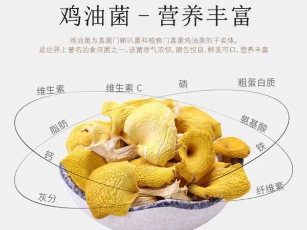 黄丝菌怎么做好吃_黄丝菌的家常做法-第1张图片-山城妙识