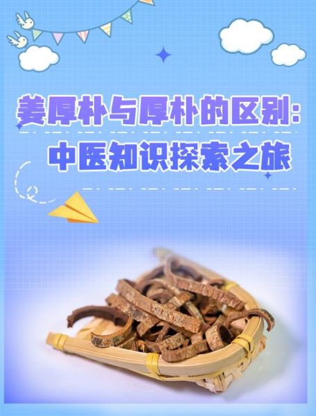 姜厚朴和厚朴的区别_哪个更适合入药-第1张图片-山城妙识