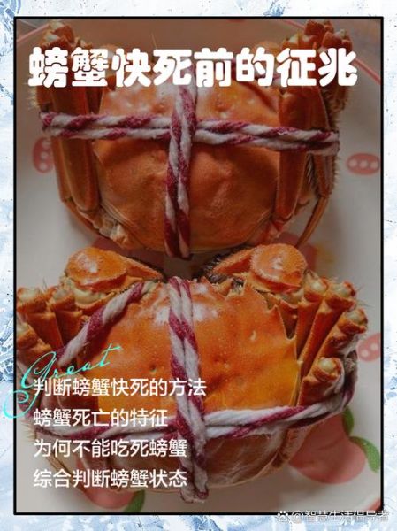 吃了死的大闸蟹怎么办_中毒症状多久出现-第1张图片-山城妙识