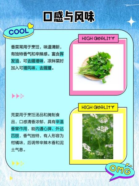 芫荽怎么读_芫荽和香菜的区别-第1张图片-山城妙识