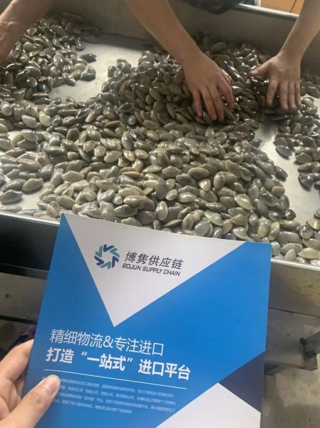 文蛤是花甲吗_花甲和文蛤的区别-第1张图片-山城妙识