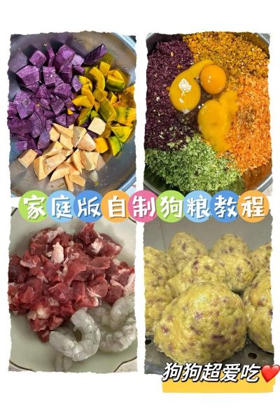 自制狗粮可以代替狗粮吗_自制狗粮优缺点-第1张图片-山城妙识