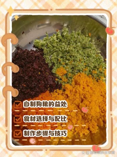 自制狗粮可以代替狗粮吗_自制狗粮优缺点-第2张图片-山城妙识