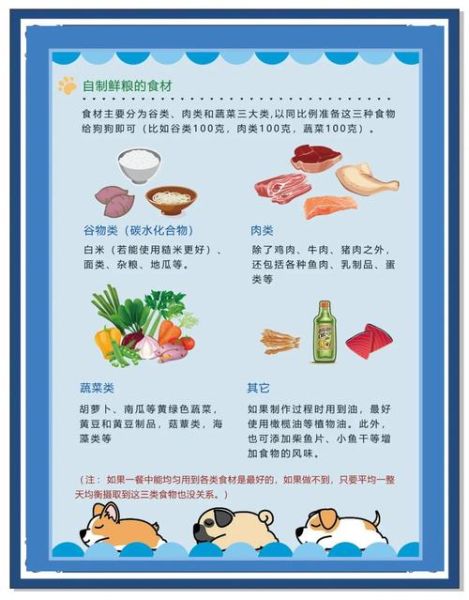 自制狗粮可以代替狗粮吗_自制狗粮优缺点-第3张图片-山城妙识