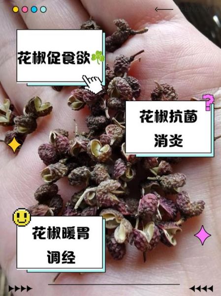花椒的功效与作用及禁忌_花椒吃多了会怎样-第3张图片-山城妙识