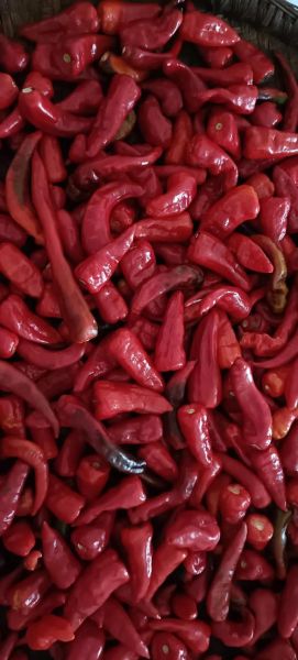 辣椒豆瓣酱怎么做_家庭自制豆瓣酱详细步骤-第2张图片-山城妙识 辣椒豆瓣酱怎么做_家庭自制豆瓣酱详细步骤-第2张图片-山城妙识