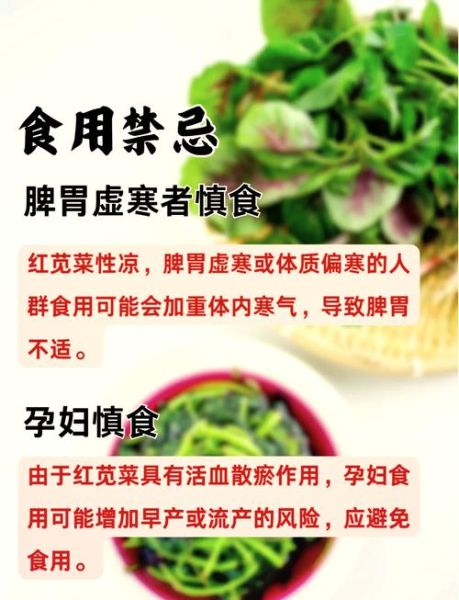苋菜的功效与作用禁忌_苋菜怎么保存-第2张图片-山城妙识