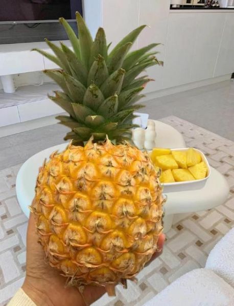 台湾凤梨还能吃吗_大陆何时恢复进口-第1张图片-山城妙识 台湾凤梨还能吃吗_大陆何时恢复进口-第1张图片-山城妙识