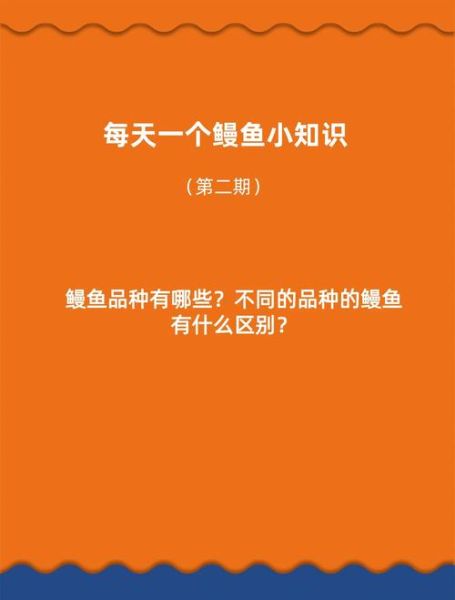 鳗鲡怎么读_鳗鲡和鳗鱼区别-第1张图片-山城妙识