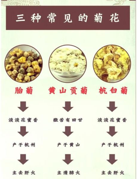 胎菊和杭白菊的区别_胎菊好还是杭白菊好-第1张图片-山城妙识