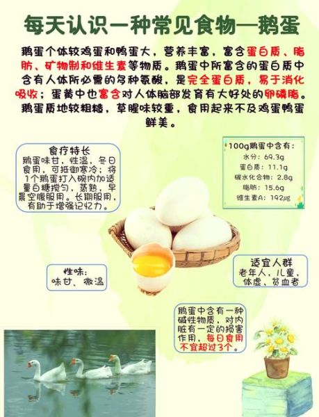 女性长期吃鹅蛋的好处_鹅蛋对女人有什么功效-第1张图片-山城妙识