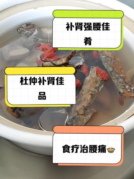 杜仲猪腰汤的做法_杜仲猪腰汤的功效与禁忌-第3张图片-山城妙识